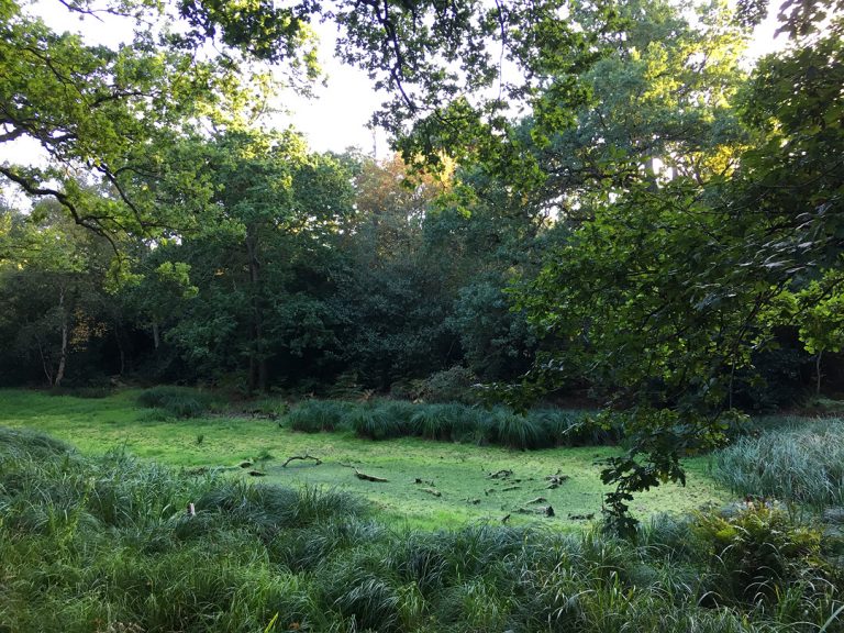 Walking the The Great Eastern Pingo Trail | Norfolk Life